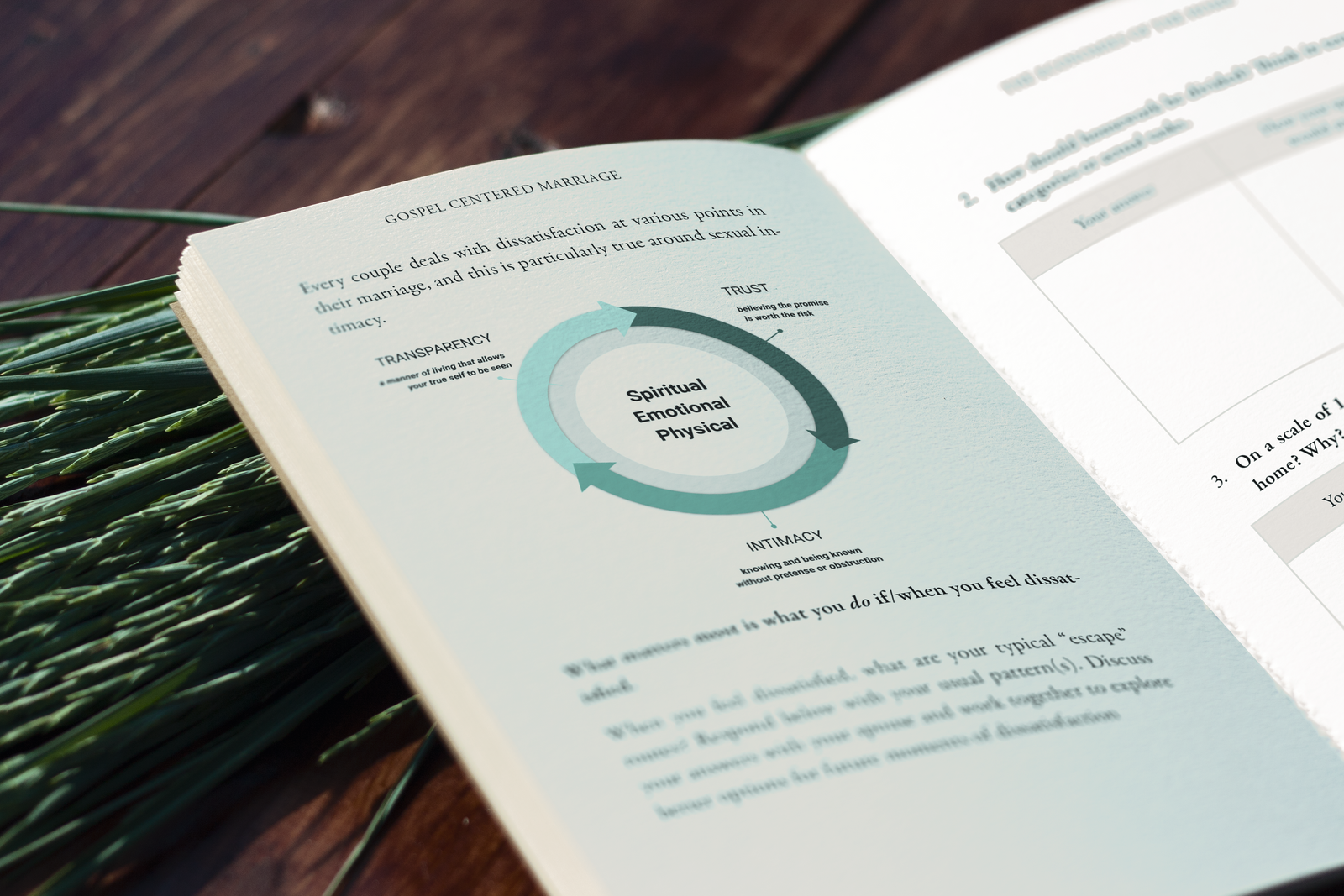 Gospel Centered Marriage Couple's Experience (2 Books + Course ...
